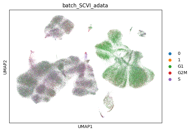 Train a scVI model using Lamin — scvi-tools
