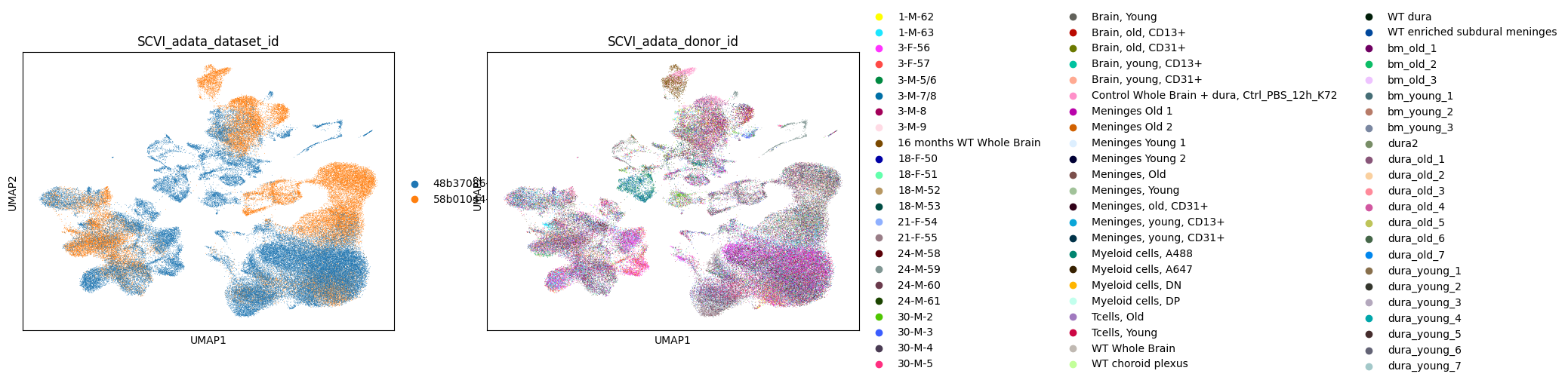 Train a scVI model using Census data — scvi-tools