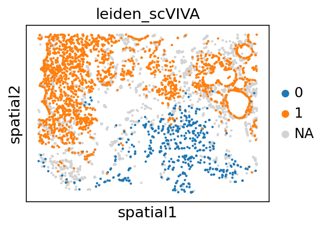 scVIVA for representing cells and their environment in spatial ...